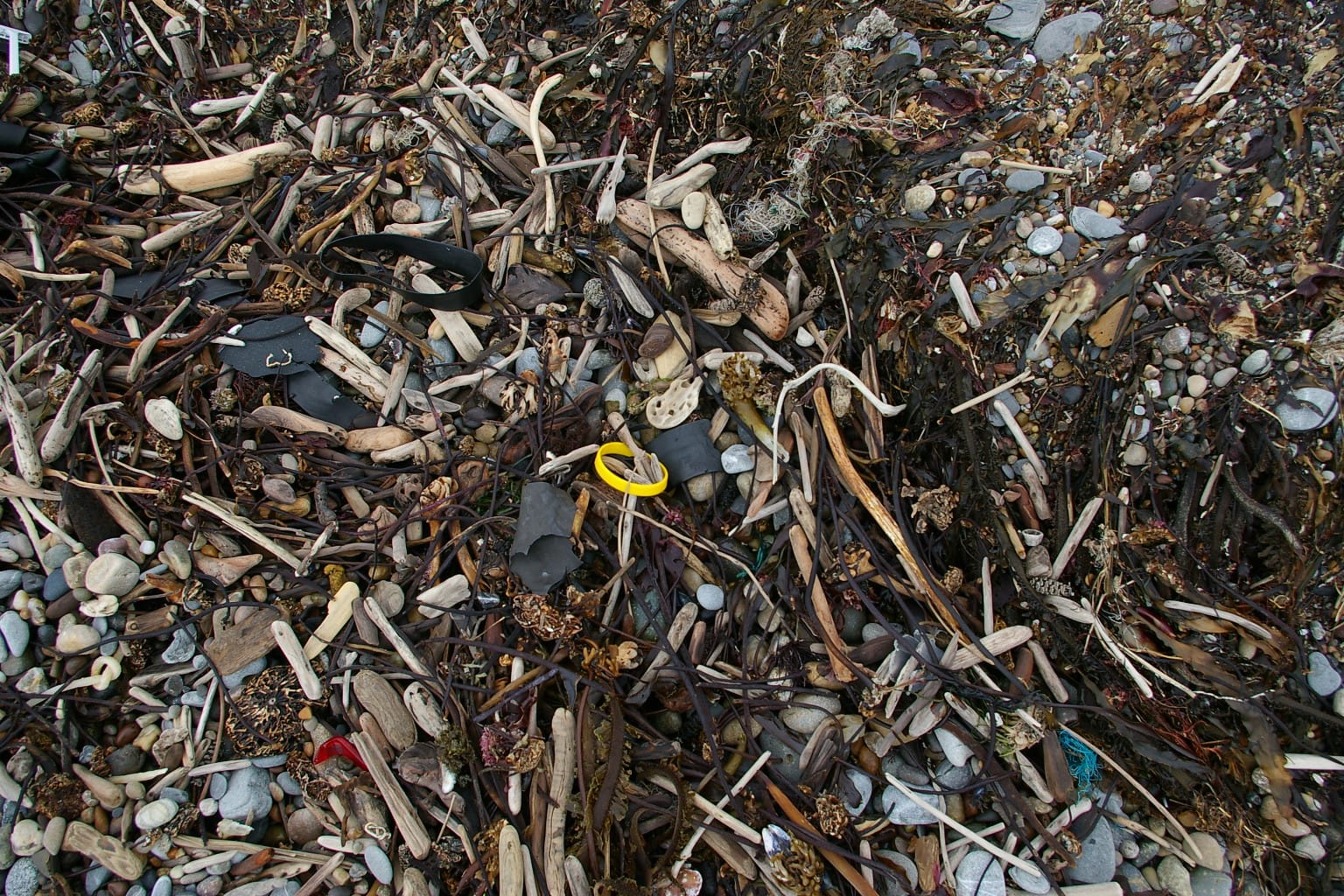 Narrating Catastrophe | Political Theology Network