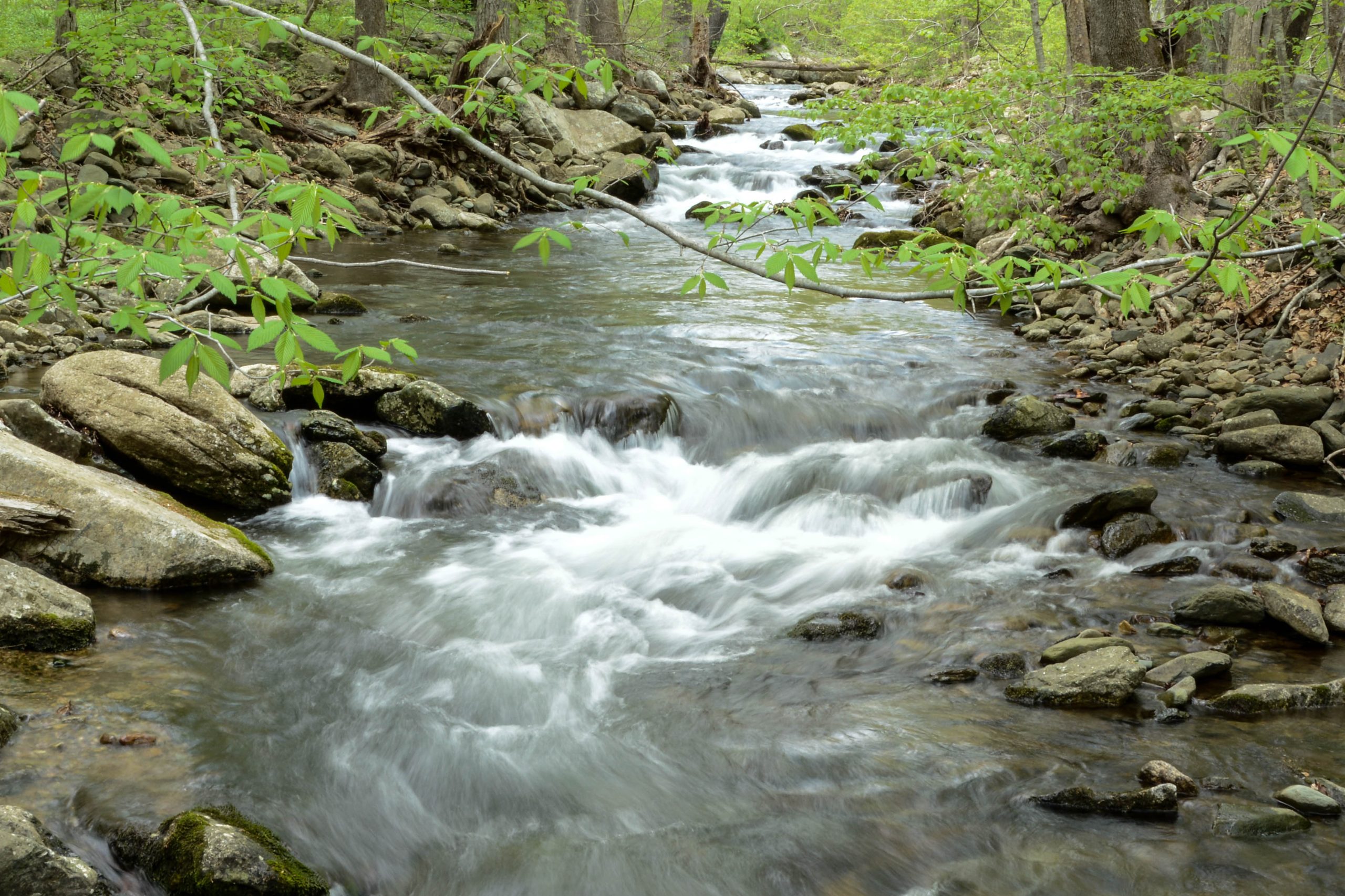 Call for Papers: Political Theology Network Conference 2025 - DEADLINE ...